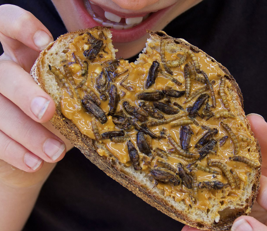 You Will Eat Bugs. You Will Enjoy Them – Climate Scepticism